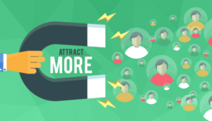 5 Reasons Why to Use LinkCollider as an SEO Tool - LinkCollider - Blog